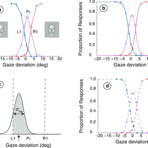 Gaze Categorization Procedure And Model Fits A Sample Observer