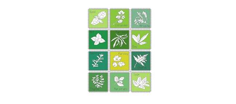 Herbal Assisi Work Sampler With Blackwork Etsy