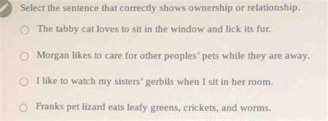 Select The Sentence That Correctly Shows Ownership Or Relationship The
