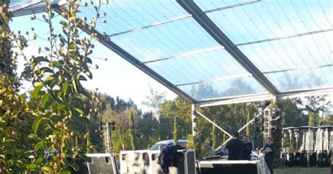 Jul Deda poston foton nga dasma e Shkëlzen Berishës Shqiptar