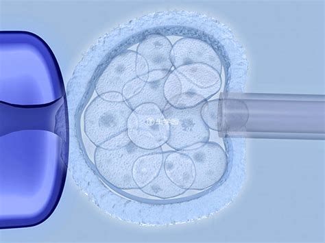 试管婴儿 辅助生殖一代、二代、三代技术及成功率介绍 生学园