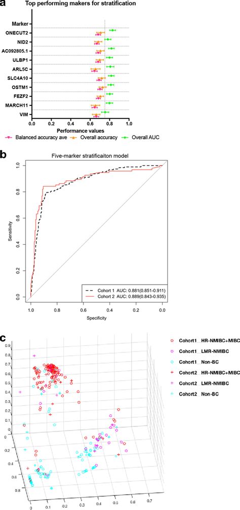 A Five Marker Three Class Stratification Model For Bladder Cancer Risk Download Scientific