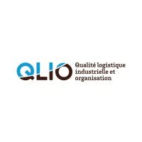 Qlio Agen Iut De Bordeaux Linkedin