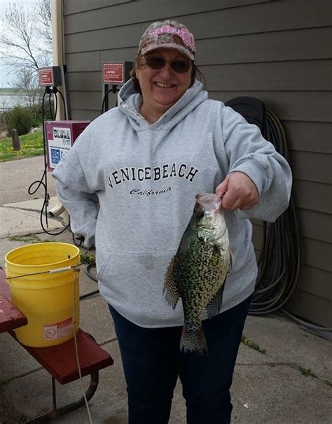 Black Crappie Branched Oak Marina