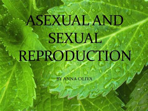 Ppt Asexual And Sexual Reproduction Powerpoint Presentation Free Download Id 2222383