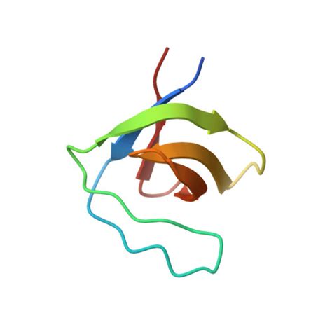 Rcsb Pdb 7pll Structure Of The Murine Cortactin C Sh3 Domain In