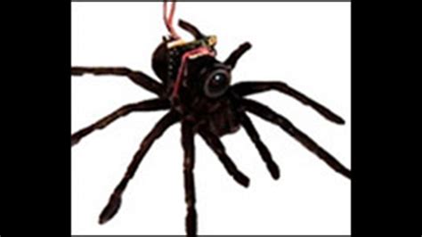 Ima To Premier Largest Exhibition Of Video Art By Sam Easterson