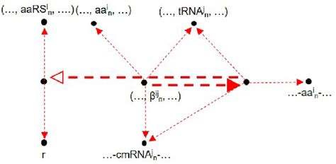 Representation Of The Replication Function That Has Been Constructed Download Scientific Diagram