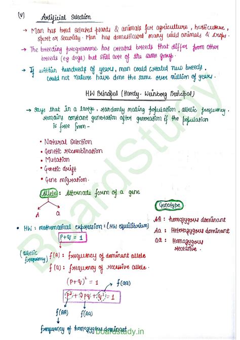 Neet Biology Evolution Notes Pdf Handwritten Notes