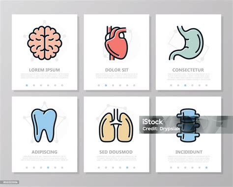 다목적 A4 프레 젠 테이 션 서식 파일에 대 한 의학 및 장기 색 요소 집합입니다 전단지 기업 보고서 마케팅 광고 연례 보고서 책 표지 디자인 아이콘에 대한 스톡 벡터