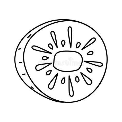 Simple Illustration Of A Sliced Cucumber With Seeds And Water Droplets In A Clean Design Stock