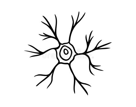 Neuron Cell Doodle Hand Drawn Icon Outline Pyramidal Neuron Cell Drawing Line Clipart Symbol