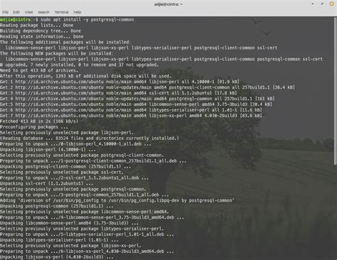 how to install postgresql 17 on ubuntu 24 04 lts noble numbat