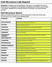 Cell Structure Lab Report Pdf Regulates What Enters And Leaves The Cell Protects And Supports