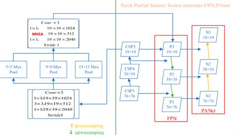 Structure Of Spp Fpn And Panet Download Scientific Diagram