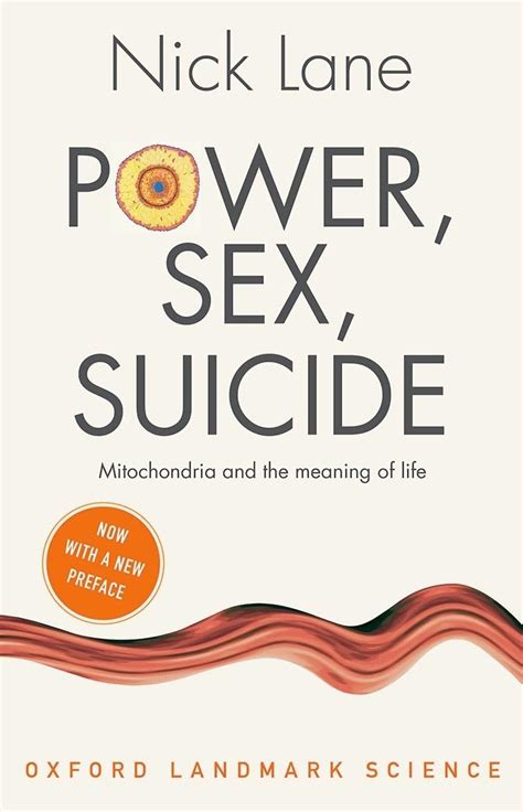 Mitochondria Meaning Frontiers Mitochondria It Is All About Energy