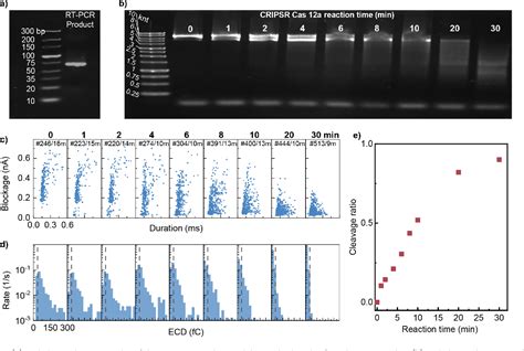Figure 1 From Detection Of Sars Cov 2 With Solid State Crispr Cas12a Assisted Nanopores