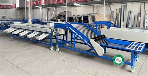 Hgb 8 Garlic Bulb Sorting Machine Best Garlic Machine
