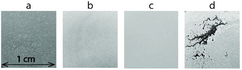 Photo Images Of TiO Layers Deposited From Suspension With Different Download Scientific