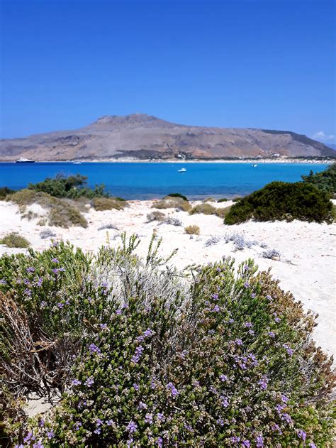 Elafonisos Lisola Più Bella Del Mediterraeneo