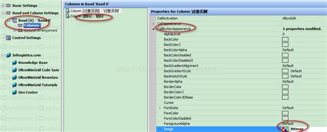 Infragistics 142 ——ultragridinfragistics Grid Dragdrop Csdn博客