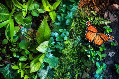 Examine The Relationship Between Biodiversity And Generative Ai Premium Ai Generated Image