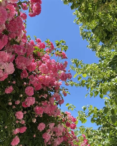 강동구미용실 천호동미용실 다윤 실장 시그니처 레이어드컷 레이어드펌 ⠀ 안녕하세요 라운드엘 다윤입니다 요즘 남성분들 장발머리 많이들 하시죠 ㅎㅎ 그만큼