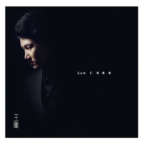 鸿雁 流行版 Youtube Music