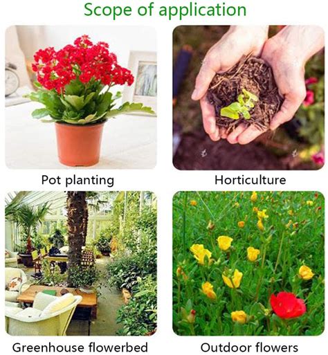 2 In 1 Analog Meter Soil Ph Meter And Fertility Test Grandado