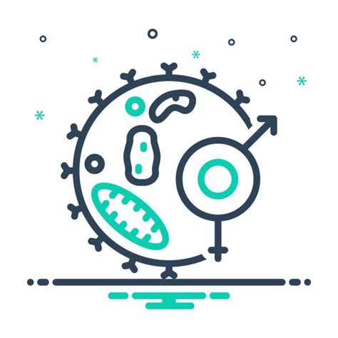 1700 Ets Ilustraciones De Stock Gráficos Vectoriales Libres De