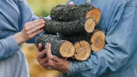 What Is Logging The Evolution Impact And Future