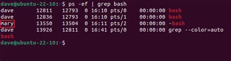 How To Find The Pid Of A Linux Process With Pidof Or Pgrep