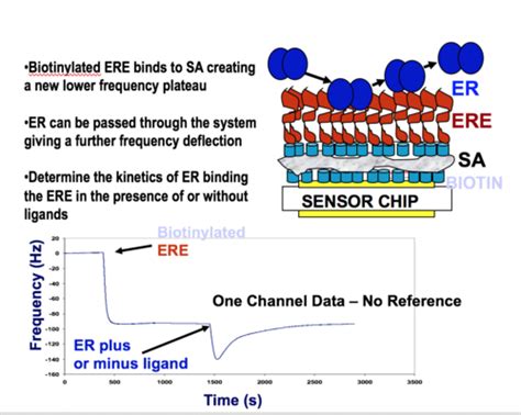 Transcriptomics Microarrays Rna Seq Flashcards Quizlet