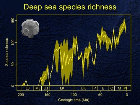 Comparing Rock And Fossil Records In The Deep Sea