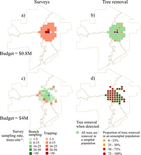Optimal Survey And Tree Removal Patterns For The Solutions With Fixed