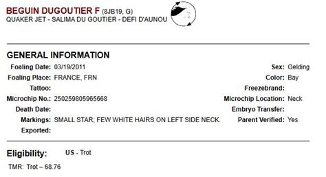 Harness Horse Revolution