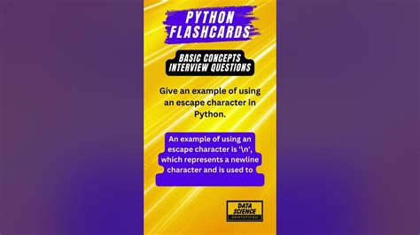 Python Comments And Inputoutput Basics Explained Pythonprogramming