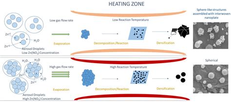 Schematic Diagram Of Spherical And Sphere Like Structures Assembled