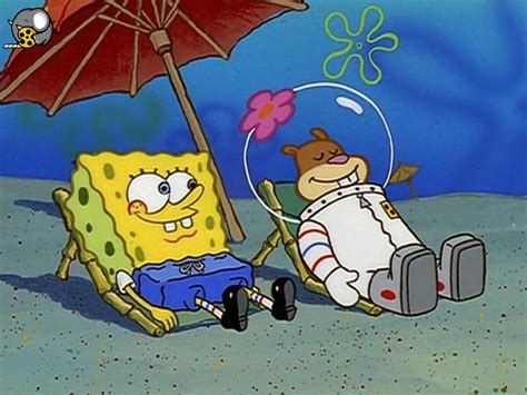 سریال باب اسفنجی کارتون باب اسفنجی جدید دوبله فارسی قسمت بیست و یکم فیلو