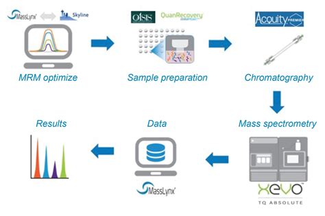 Comprehensive Workflow For The Quantification Of Peptides And Proteins