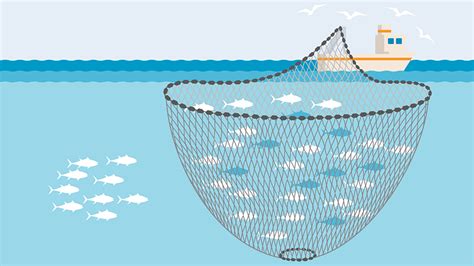 Purse Seine Fishing Gear Illustration