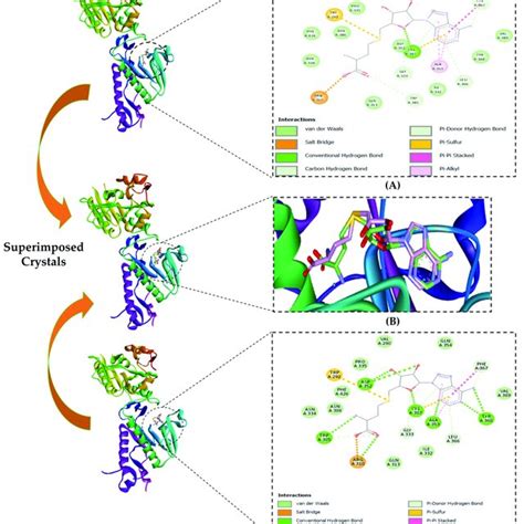 The Docking Validation A The Default Inhibitor Sah Re Docked In The