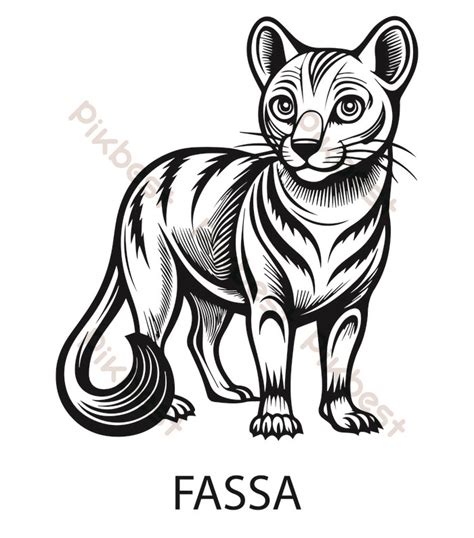 Fassa Vector Design Illlustration Png Images Eps Free Download Pikbest