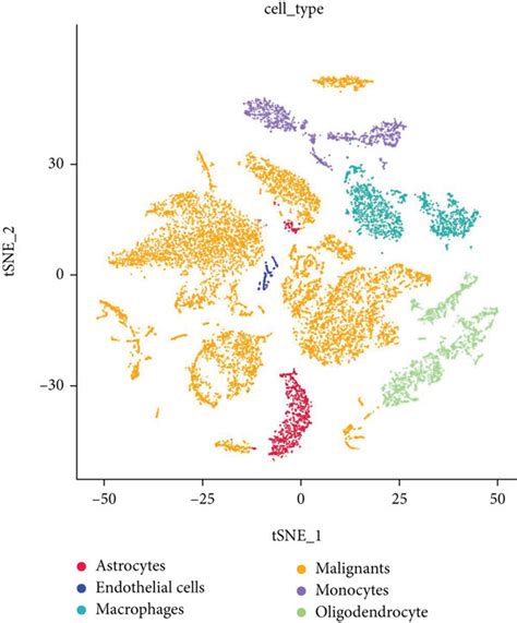 Single Cell Rna Seq Results For The Model Genes Were Validated In