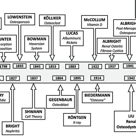 Timeline Of The Evolving Understanding Of The Relation Of Bone Boxes