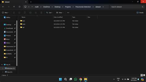 Pneumonia Detection From Chest X Ray With Flask App Deep Learning Project