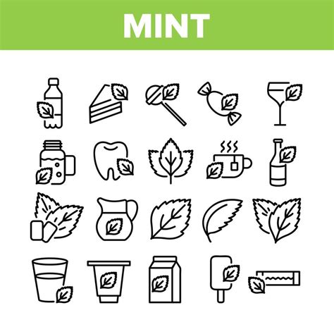 Mint Icon Vector Art Icons And Graphics For Free Download