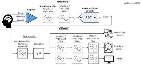 Eeg Amplifier Signal Pipeline Dont Worry About Aliasing