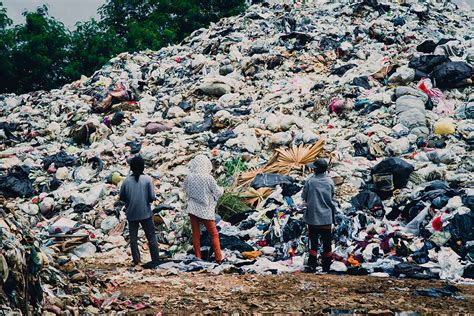 The Situation Project World Nature Environment Protection Org