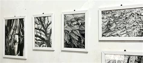 Trouver Le Bon Cadre Photo Conseils Et Astuces Appareil Photo Vintage